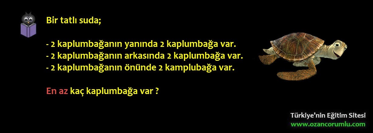 Ödüllü Soru 2. Hafta | ozancorumlu.com | Türkiye'nin Eğitim Sitesi